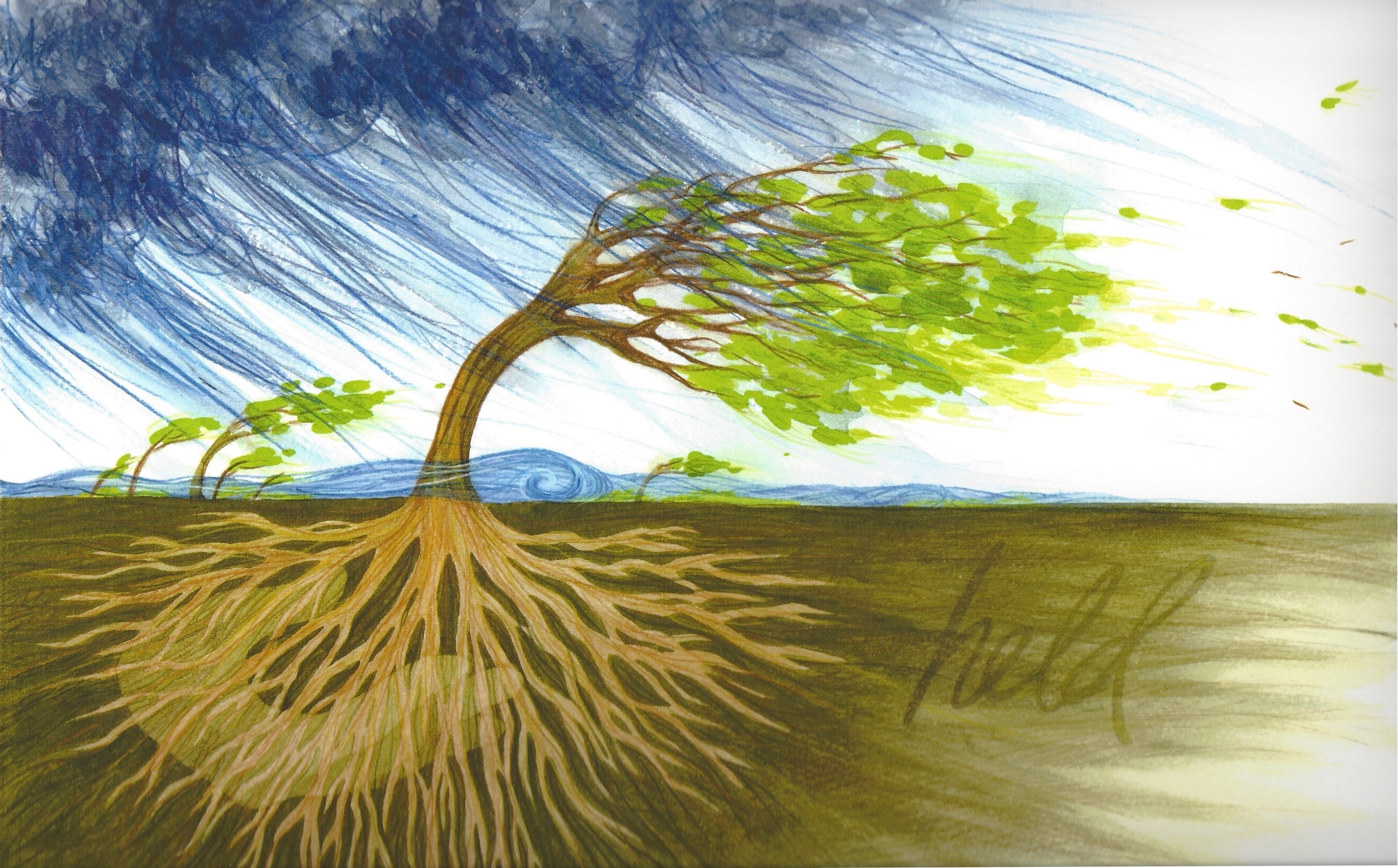 Spiritual Roots | Creating Opportunities for Spiritual Growth